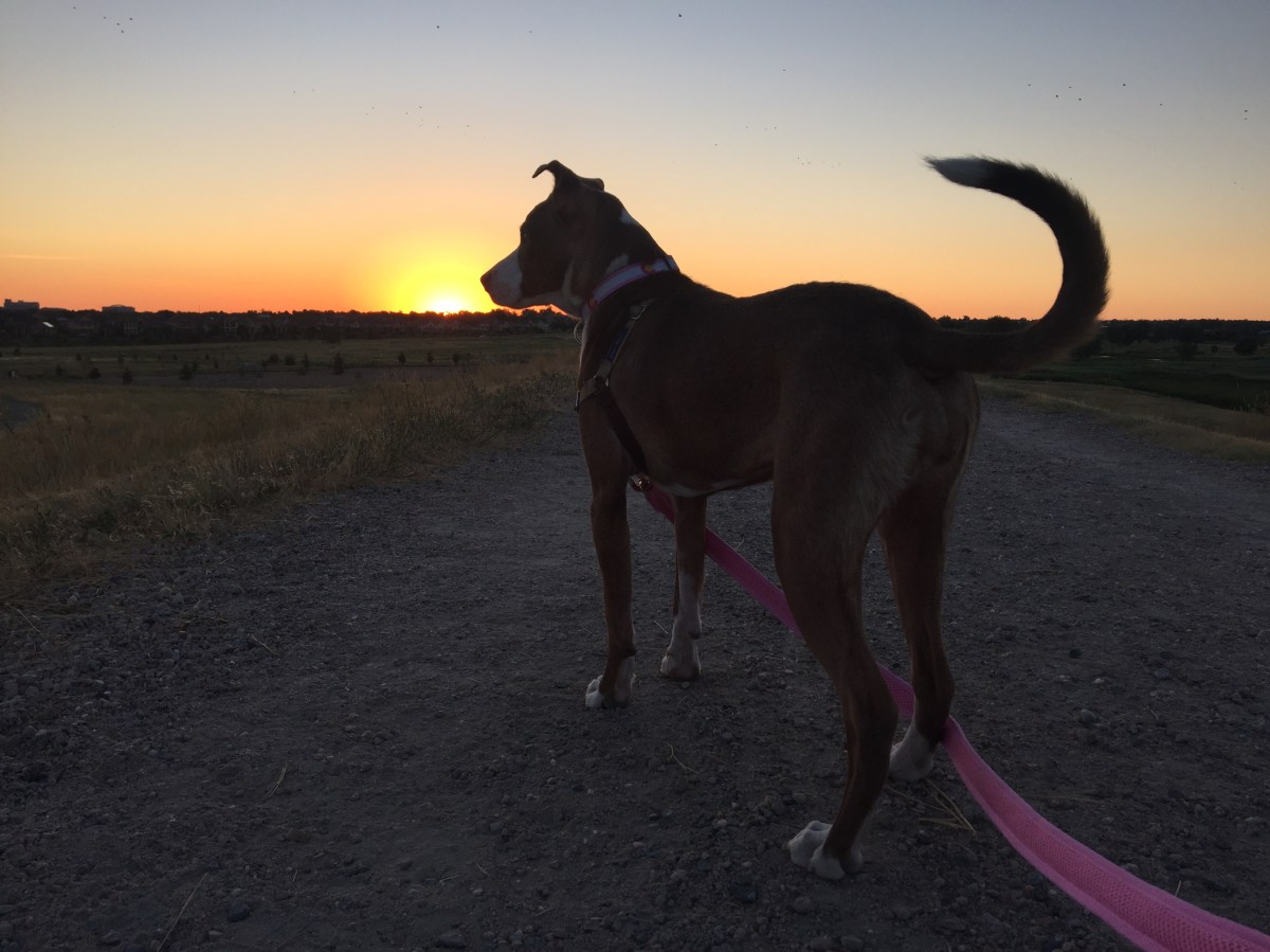 KarmaSue Crew – KarmaSue