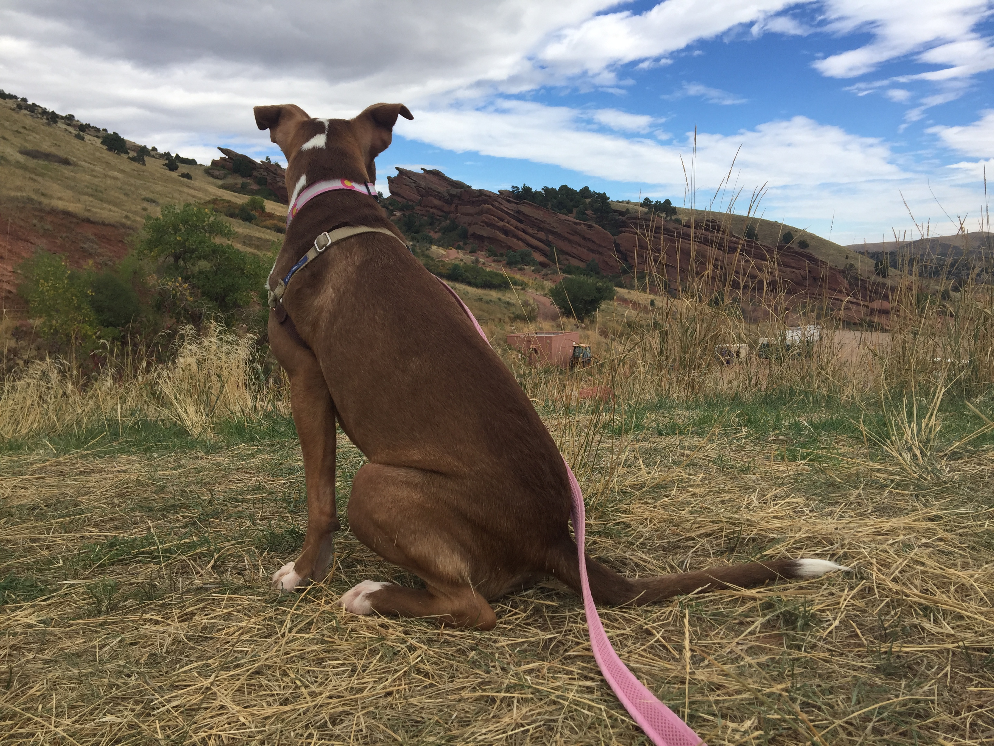 Programs – KarmaSue