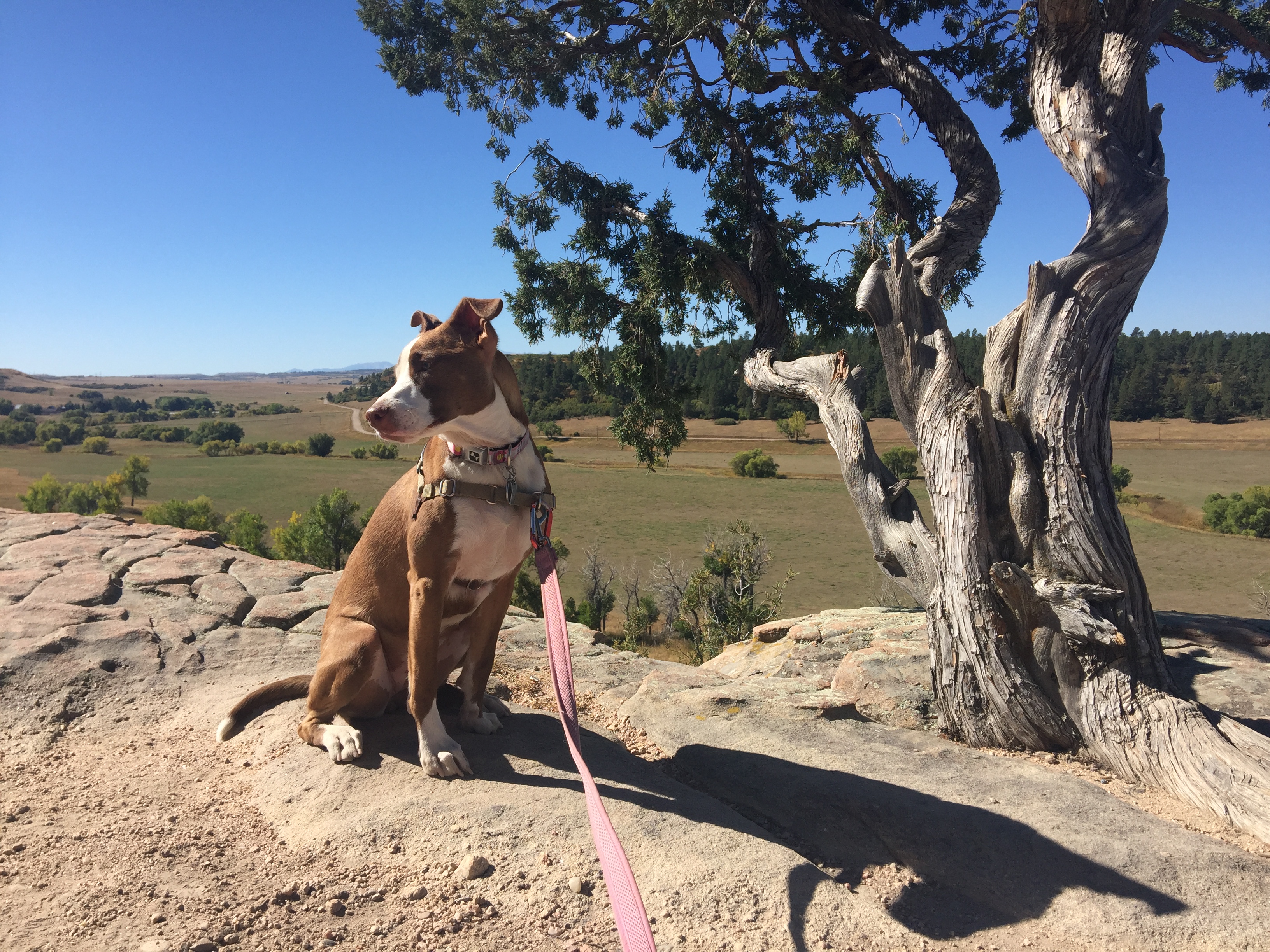 Photo Gallery – KarmaSue