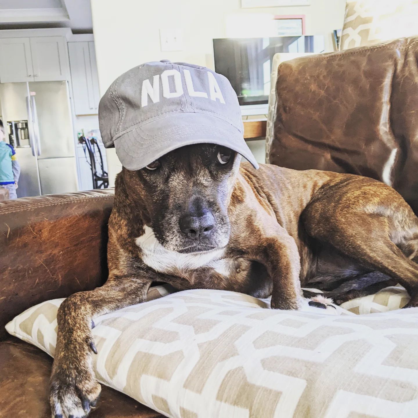 Nola – World Traveler, Family Keystone – KarmaSue