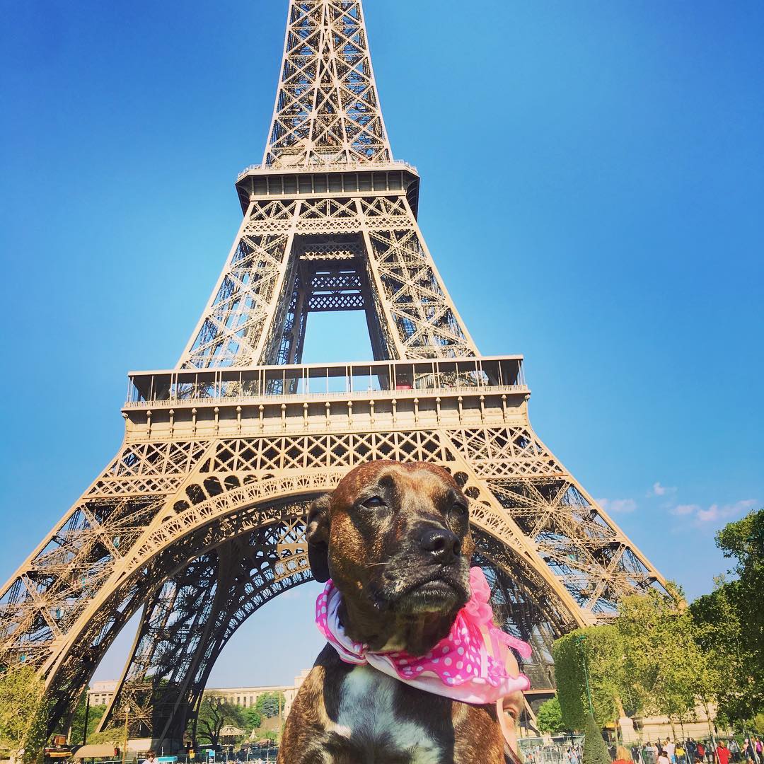 Nola – World Traveler, Family Keystone – KarmaSue