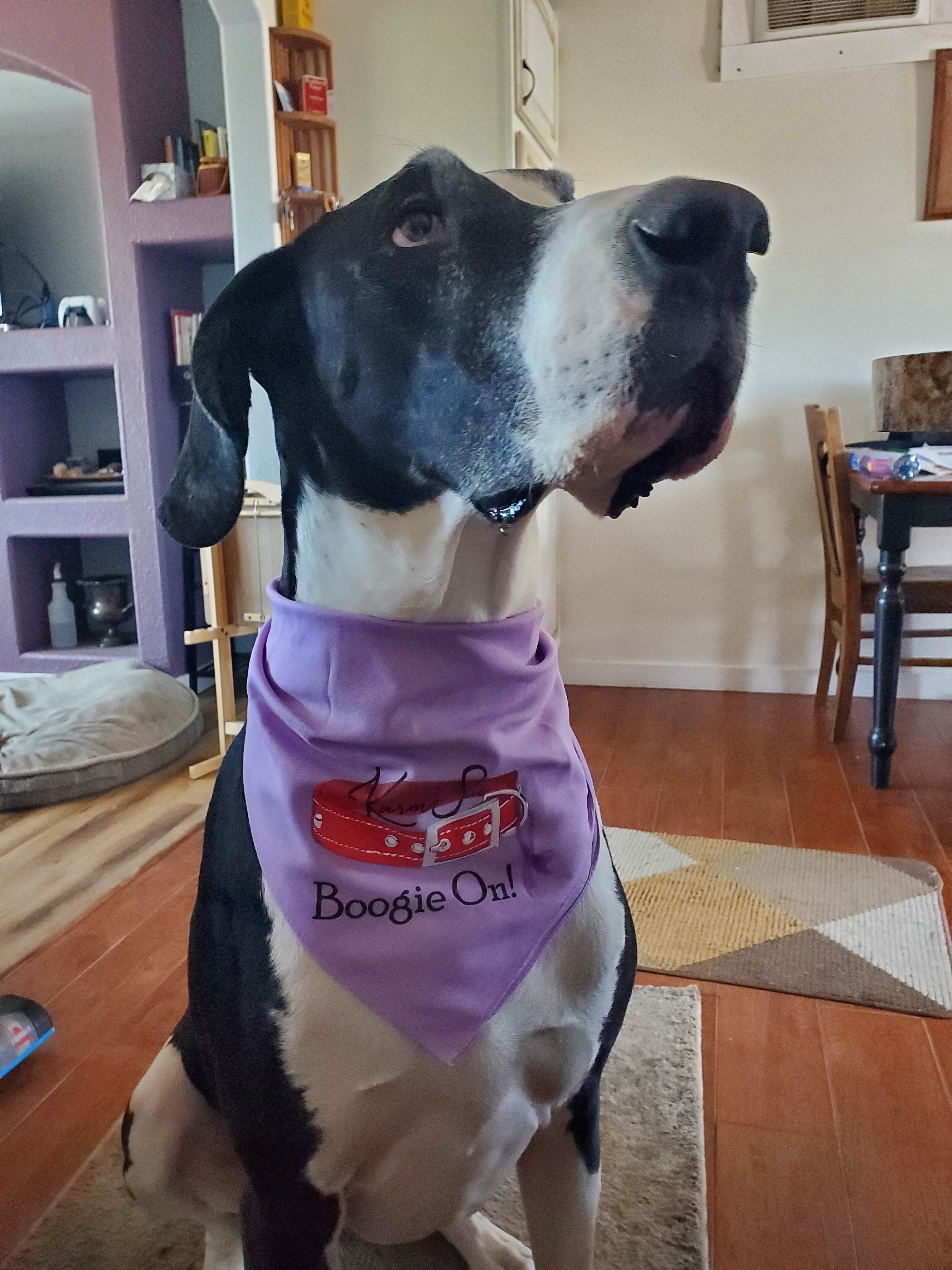Lovable Luna – KarmaSue